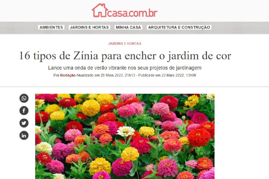 Zínia: confira os tipos dessa plantinha especial
