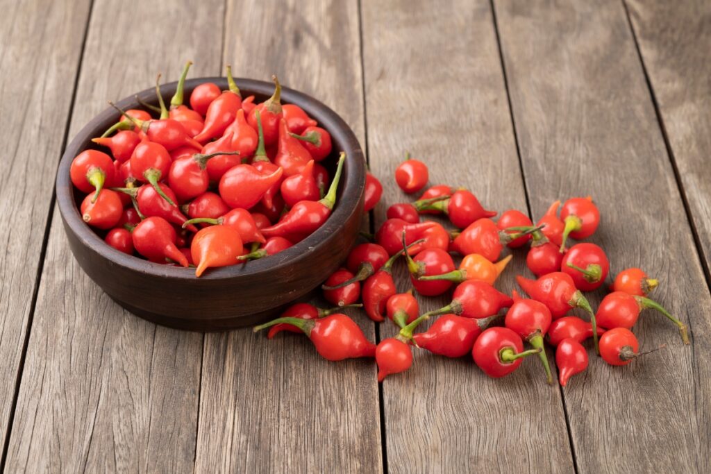 Pimenta biquinho; um guia completo de plantio e cuidados com a ...