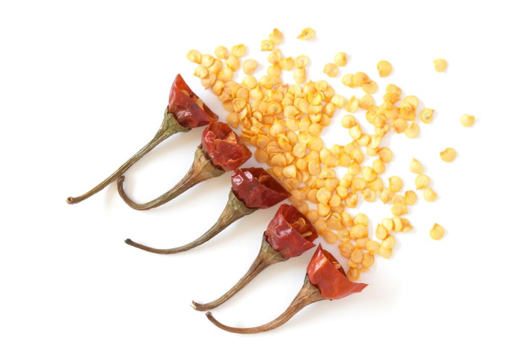 Cultivo simplificado de pimenta malagueta na horta; aprenda já - Portal ...